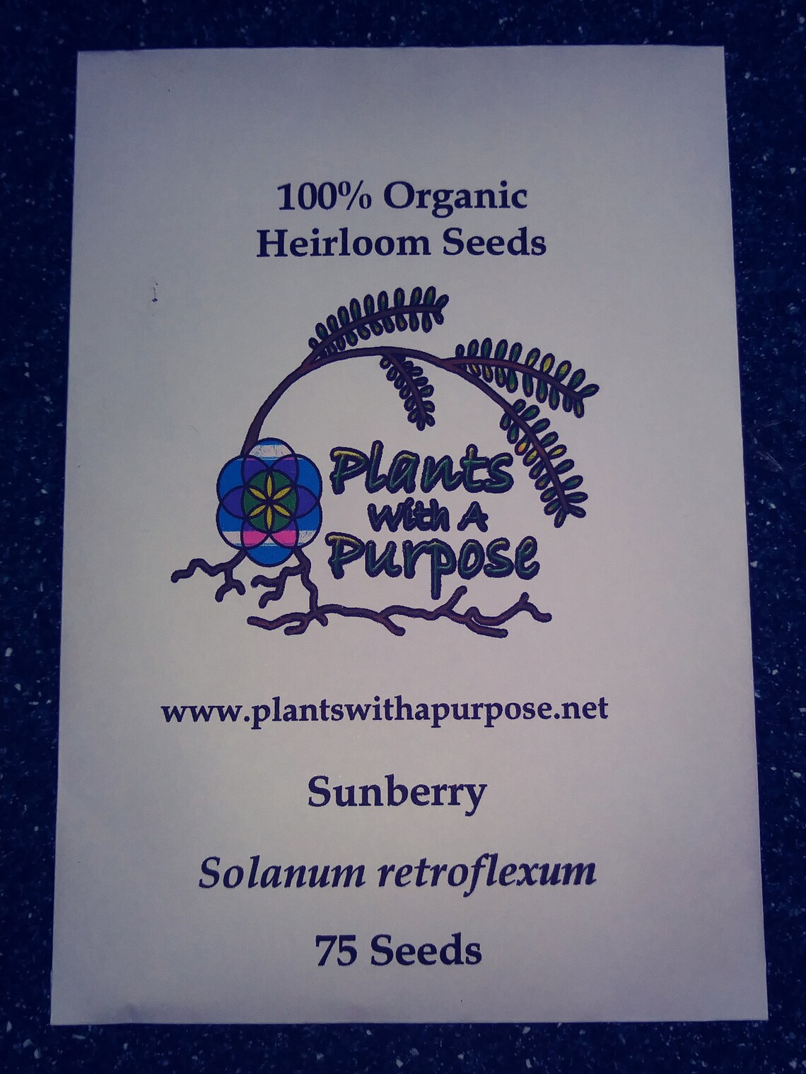 Sunberry Solanum Retroflexum Organic Seeds Edible Seeds75 - Etsy