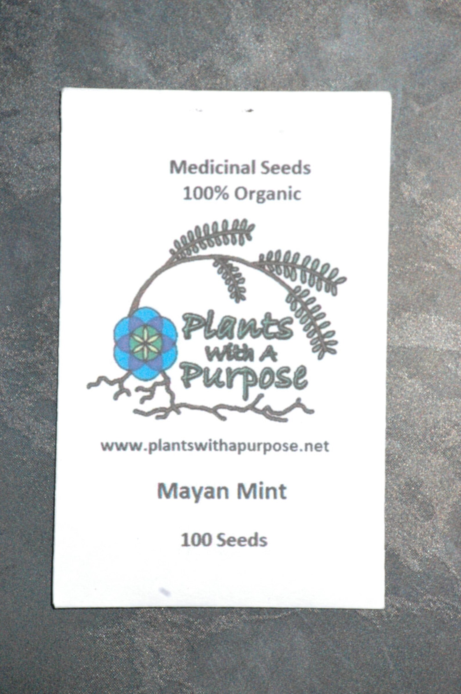 Mint. Medicinal Seeds Mint Combo Pack Mayan Mint Mountain | Etsy