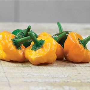 Pepper, Caribbean Yellow Seed Pack, Capsicum Chinense, 20 Seeds ...