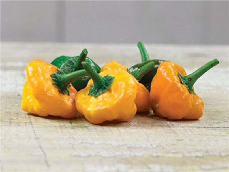 Pepper Caribbean Yellow Seed Pack Capsicum Chinense 20 - Etsy