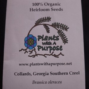Collards, Georgia Southern Creole Collards, Brassica Oleracea, 75 Seeds ...