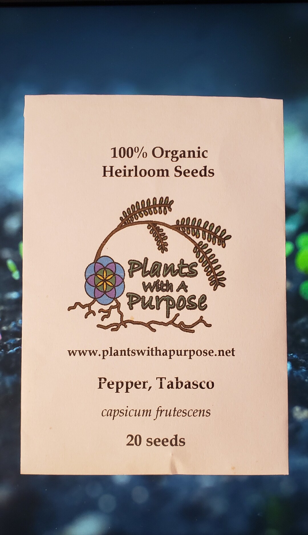 Pepper, Tabasco, Capsicum Frutescens Seed Pack, 20 Organic Seeds - Etsy