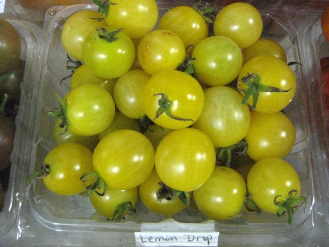 Tomato Seeds Lemon Drop Lemon Drop Tomato Solanum | Etsy