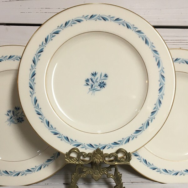 Blue Ridge Plates - Etsy