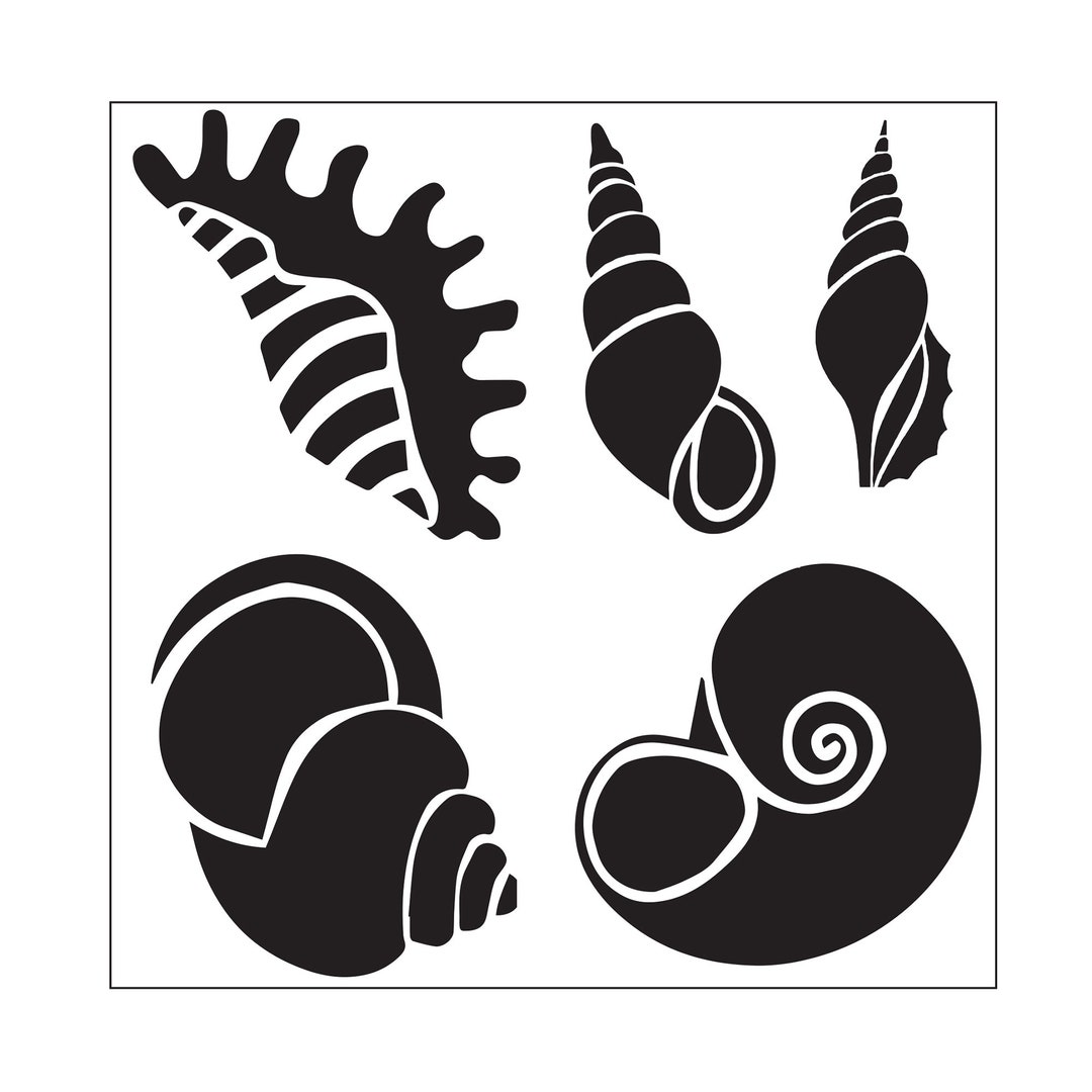 Mylar Seashell Stencil, Scrapbook Stencil, Fabric Stencil, Furniture ...