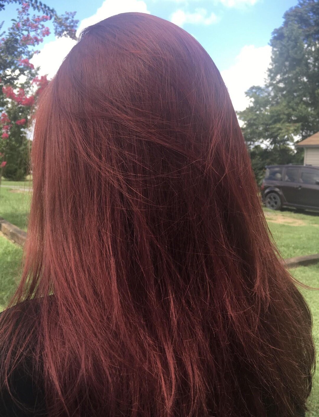 Mystic Divine Permanent Hair Color & 40 Developer 6NRV Natural Red Dark ...