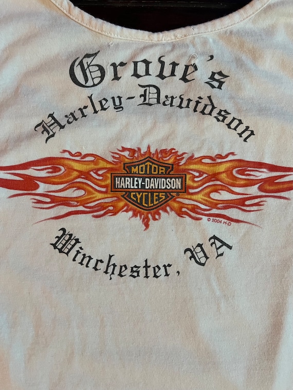 Harley Davidson Motorcycle Burning up the Road Grove’… - Gem