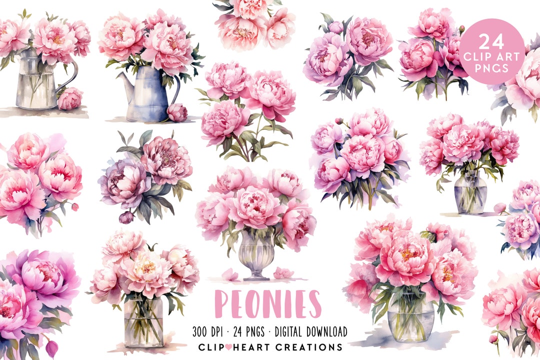 Peonies Watercolor Clipart Set, Commercial Use Instant Download PNG ...