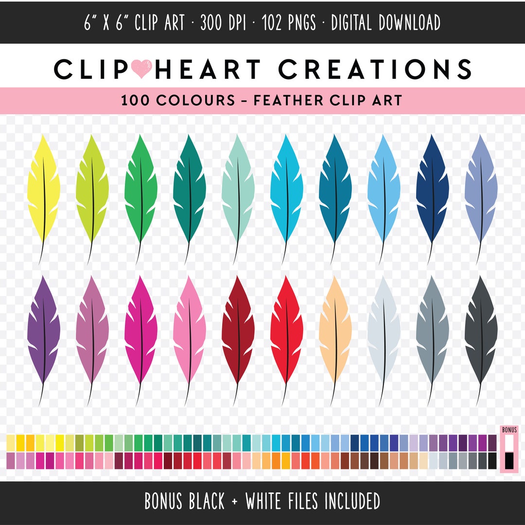 100 Feather Clip Art, Commercial Use Instant Download PNG Digital Clip ...