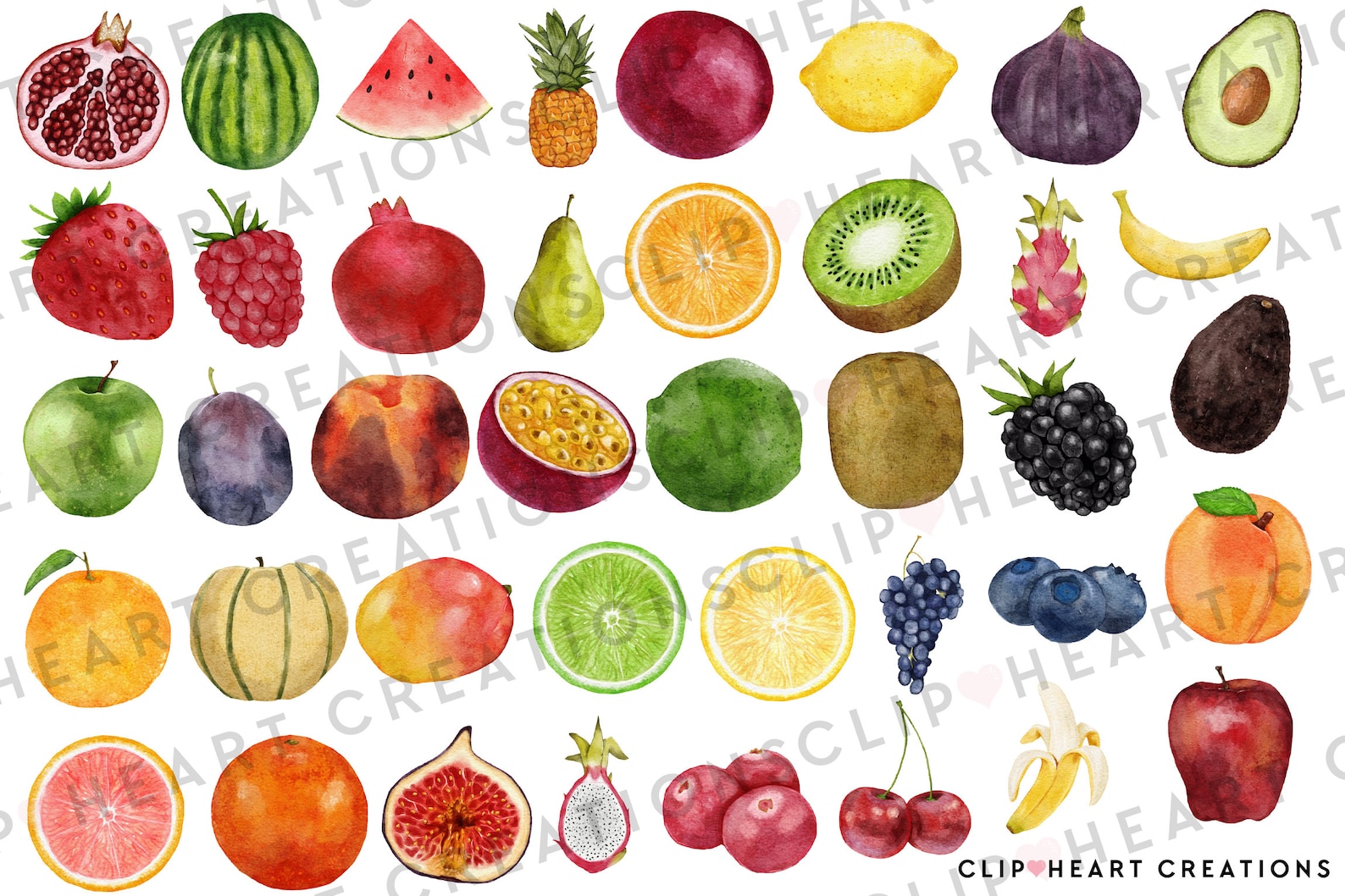 Watercolor Fruit Clip Art Commercial Use Instant Download PNG | Etsy UK