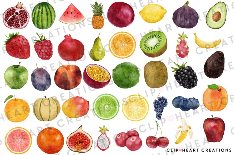 Watercolor Fruit Clip Art, Commercial Use Instant Download PNG ...