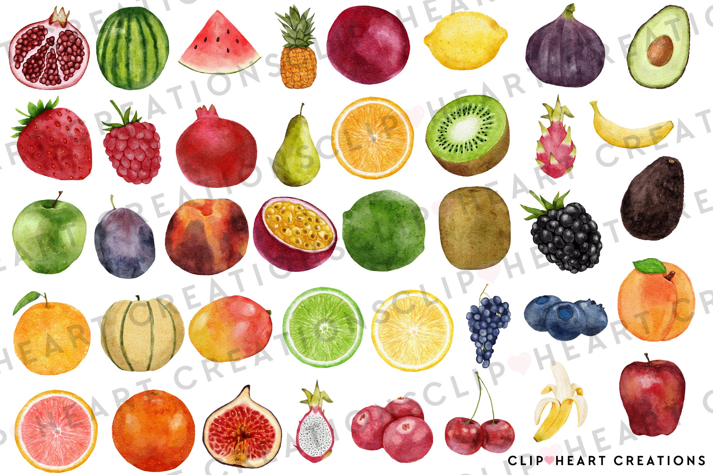 Watercolor Fruit Clip Art Commercial Use Instant Download PNG | Etsy UK