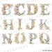 Spring Florals Alphabet Clip Art, Commercial Use Instant Download ...
