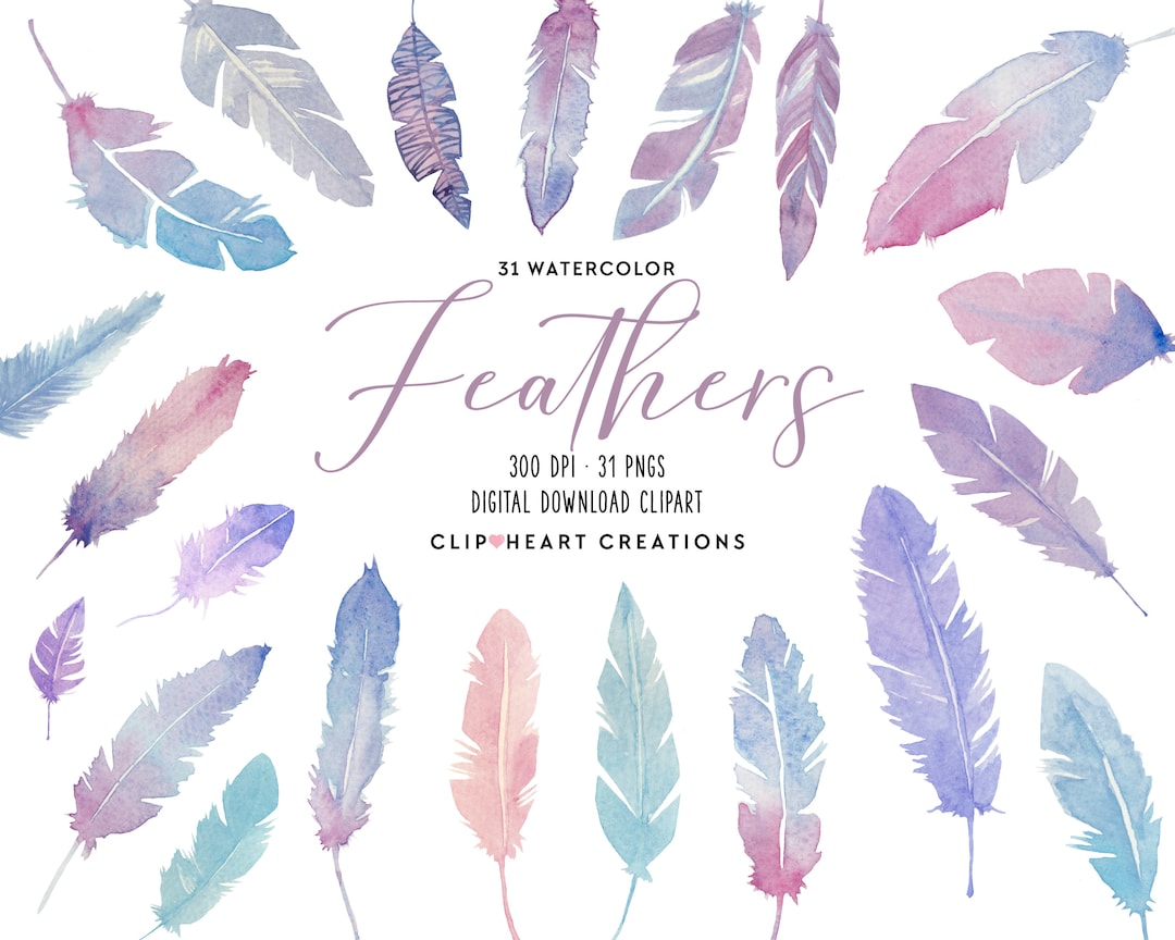 Watercolor Feathers Clip Art, Commercial Use Instant Download PNG ...