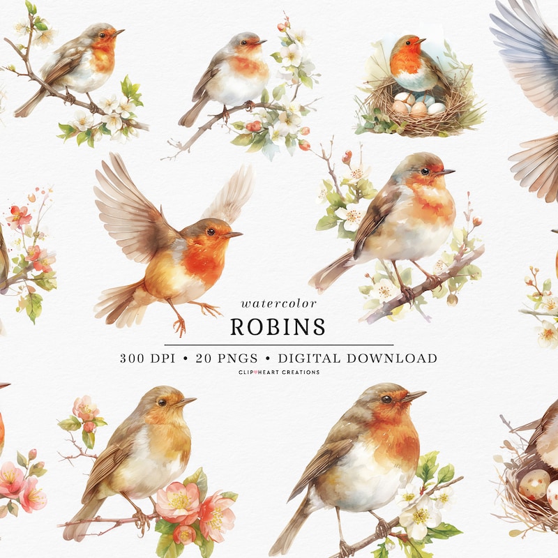 Robin Watercolor - Etsy