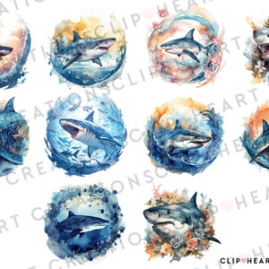 Cool Sharks Watercolor Clipart Set, Commercial Use Instant Download PNG ...