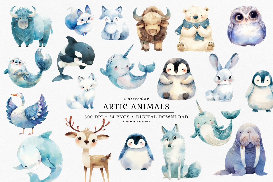 Watercolor Arctic Animals Clipart, Commercial Use Instant Download PNG ...