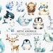 Watercolor Arctic Animals Clipart, Commercial Use Instant Download PNG ...