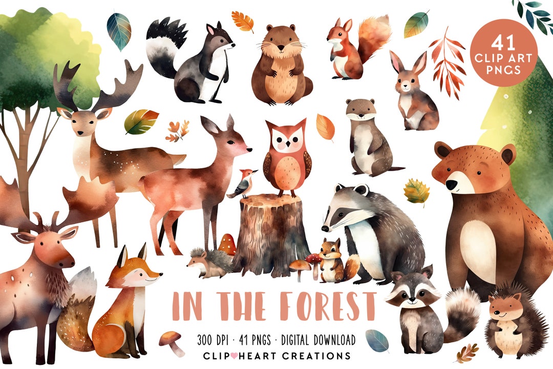 In the Forest Watercolor Clipart Set, Commercial Use Instant Download ...