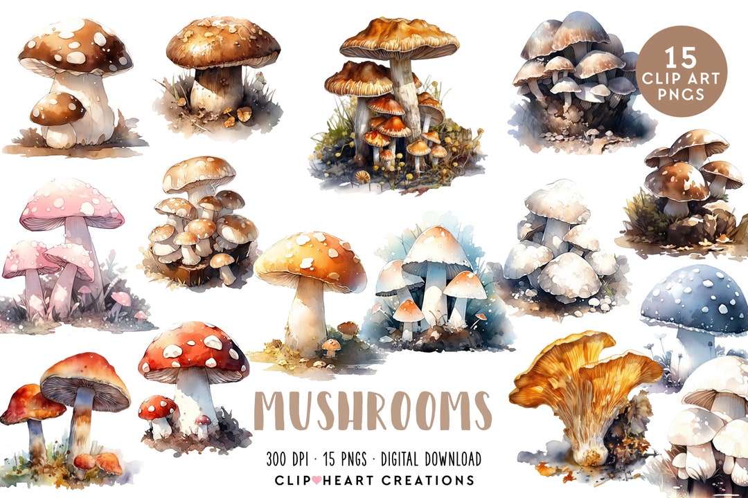 Mushrooms Watercolor Clipart Collection, Commercial Use Instant ...