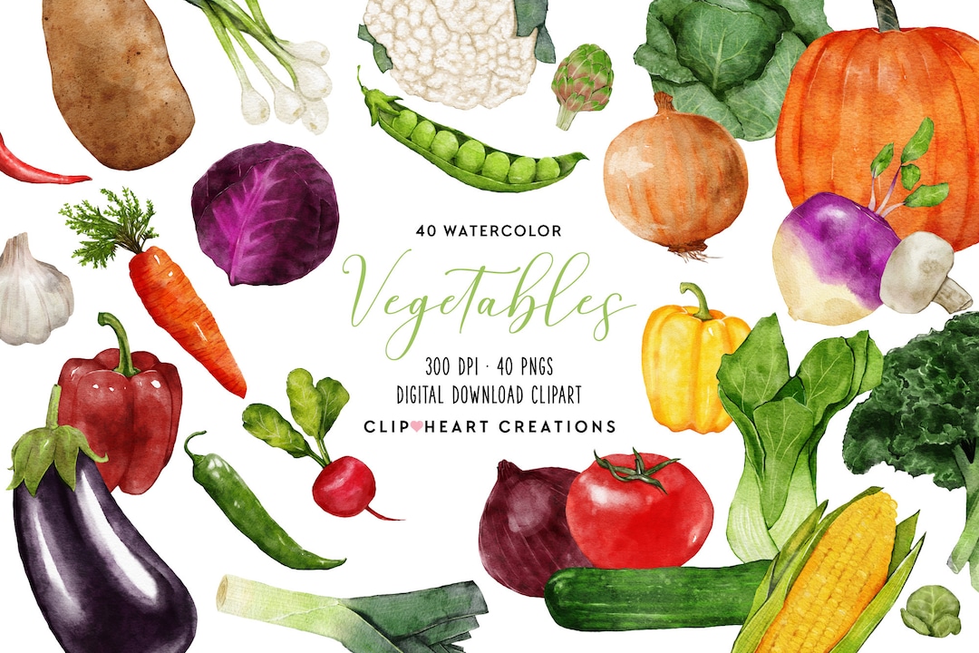 Watercolor Vegetables Clip Art, Commercial Use Instant Download PNG ...