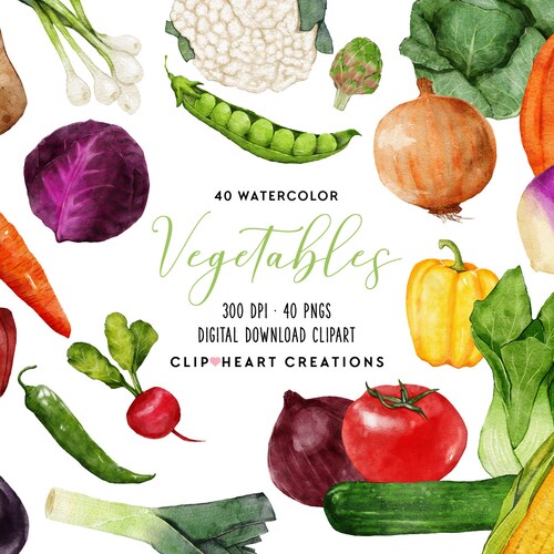 Watercolor Fruit Clip Art Commercial Use Instant Download PNG - Etsy UK