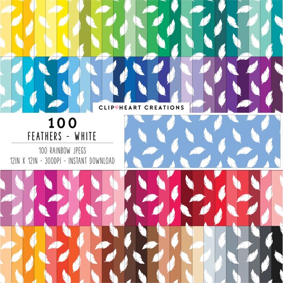 100 Feathers Digital Paper Pack Commercial Use Instant | Etsy