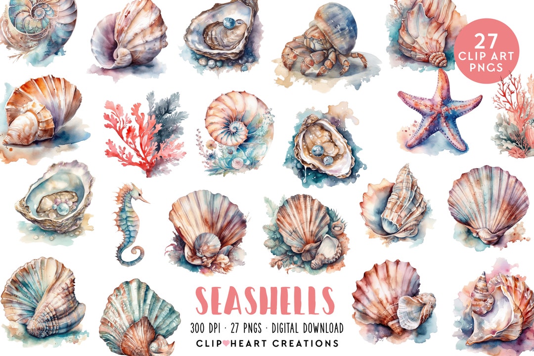 Seashells Watercolor Clipart Set, Commercial Use Instant Download PNG ...