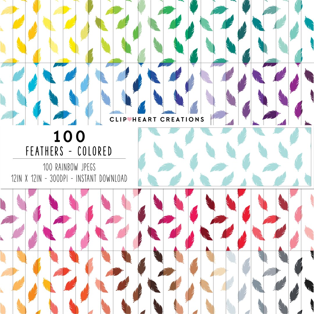 100 Feathers Digital Paper Pack, Commercial Use Seamless Colored ...