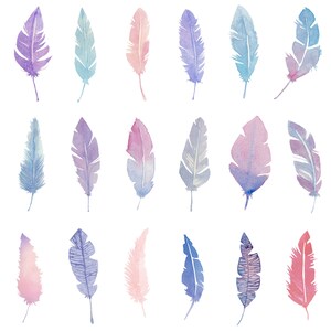 Watercolor Feathers Clip Art, Commercial Use Instant Download PNG ...