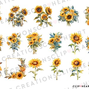 Sunflowers Watercolor Clipart Set, Commercial Use Instant Download PNG ...