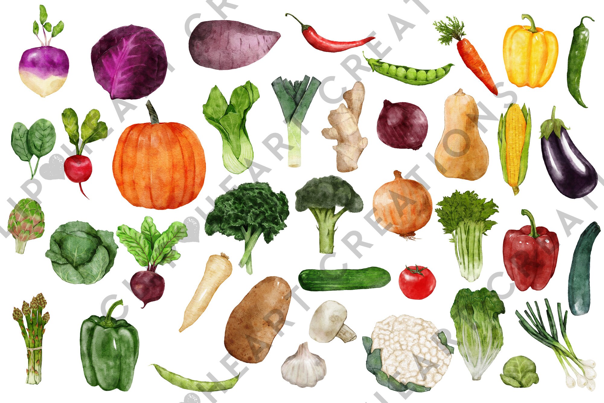 Watercolor Vegetables Clip Art Commercial Use Instant - Etsy