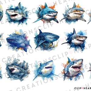 Cool Sharks Watercolor Clipart Set, Commercial Use Instant Download PNG ...