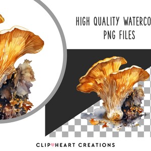 Mushrooms Watercolor Clipart Collection, Commercial Use Instant ...