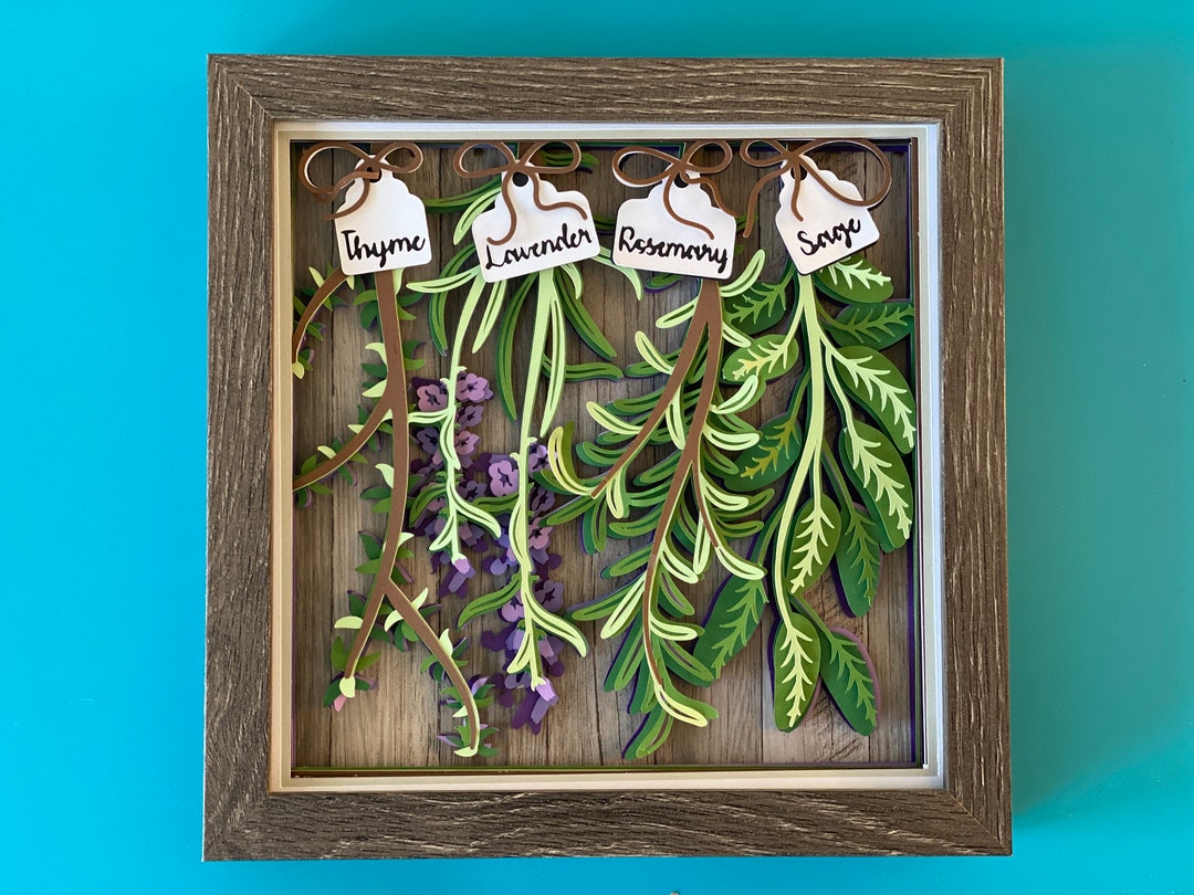 3D Herb Shadow Box Wall Art, Handmade Table Decor, Botanical Display ...