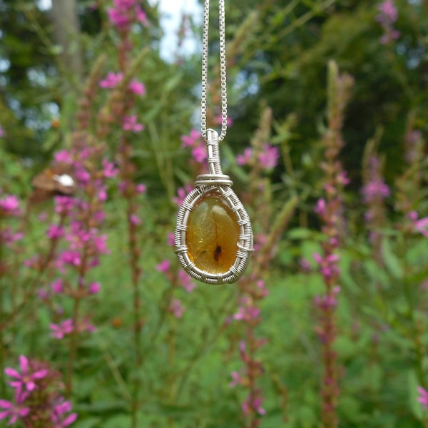Amber With Insect - Etsy