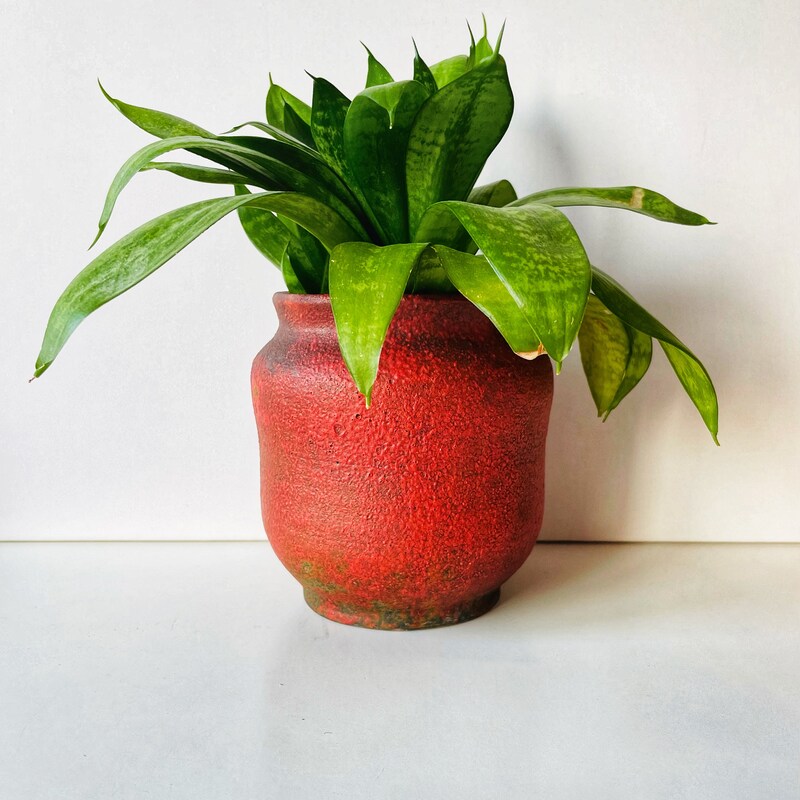 Fat Lava Plant Pot - Etsy