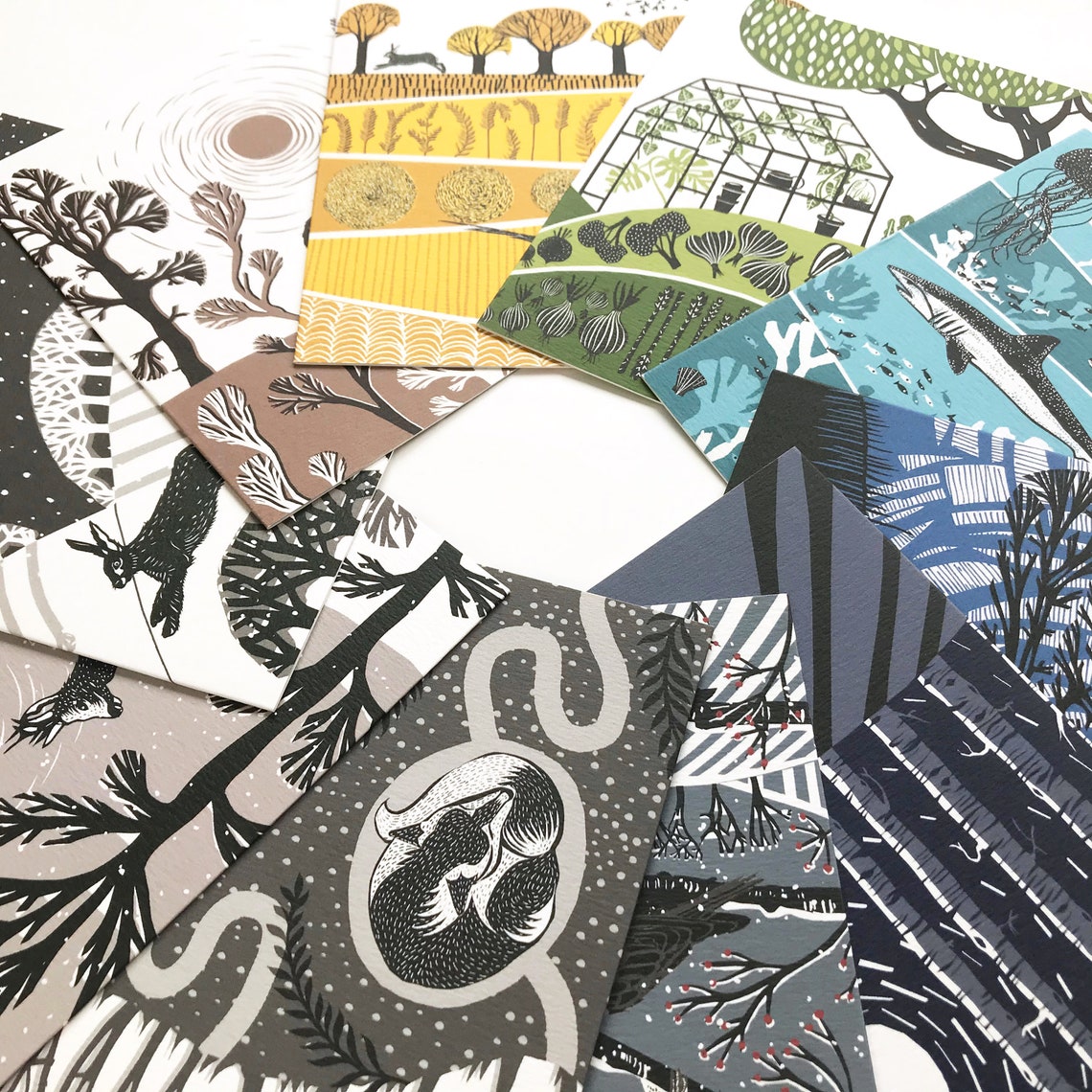 Nature Inspired Greetings Cards - Set of 10 - Etsy