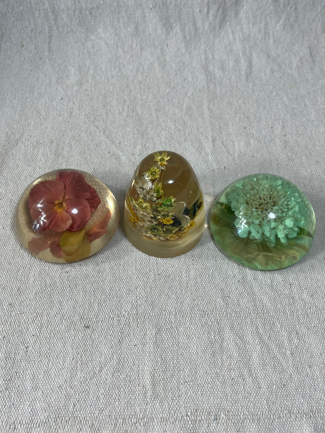 3 Vintage Dried Flower Paperweights, in Lucite, Resin, Acrylic ...