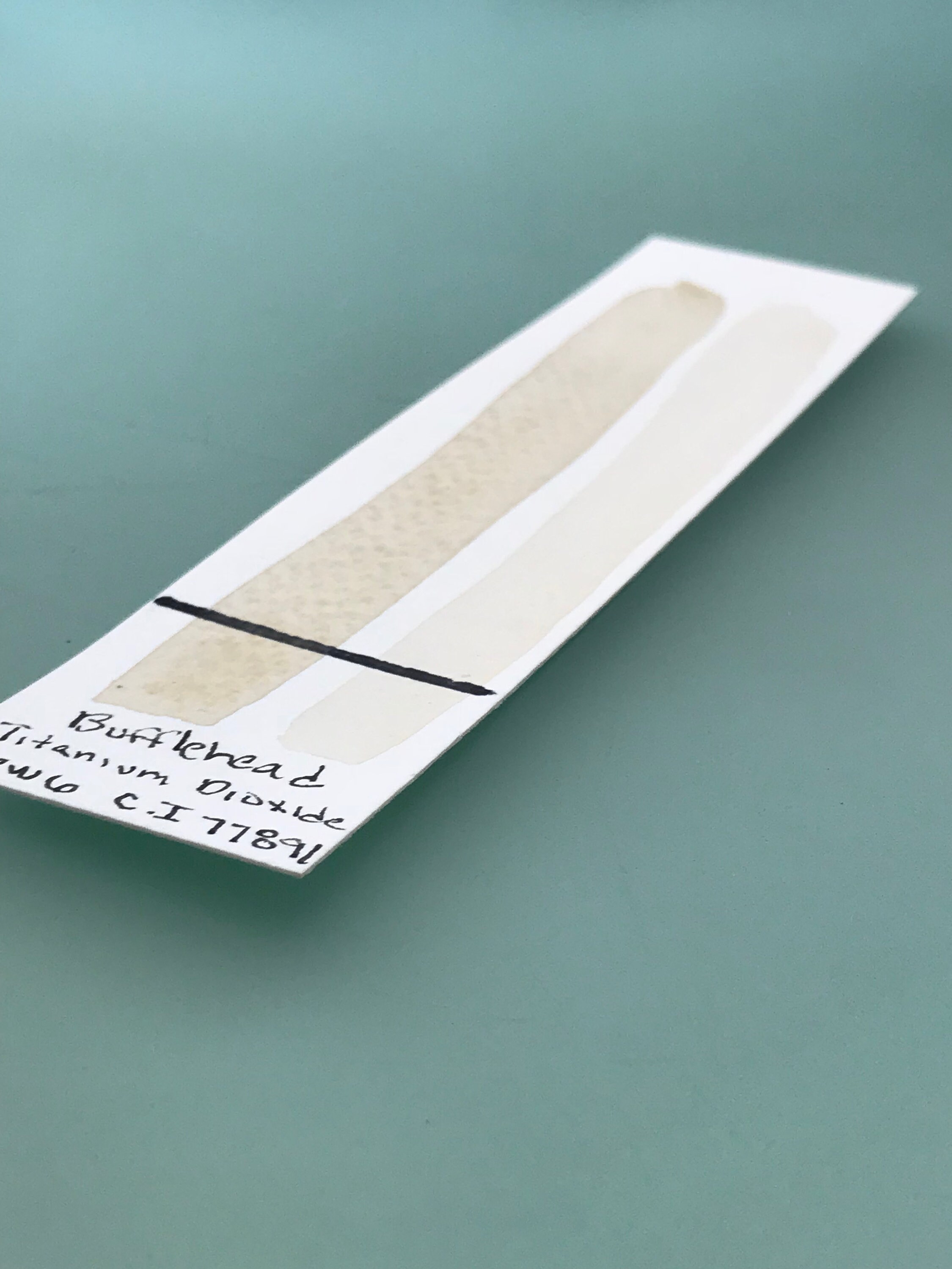 Handmade Watercolor paint Bufflehead Buff Titanium White artist paint ...