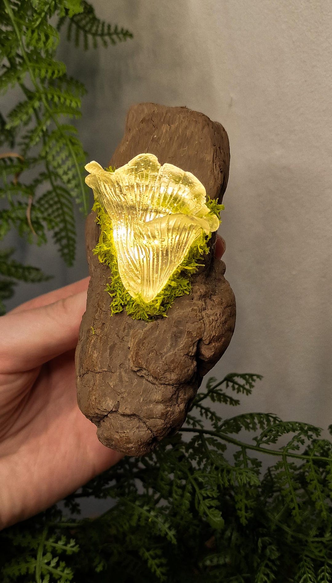 Driftwood Wall Display Fungi LED Light #54 - *battery Powered* - Etsy