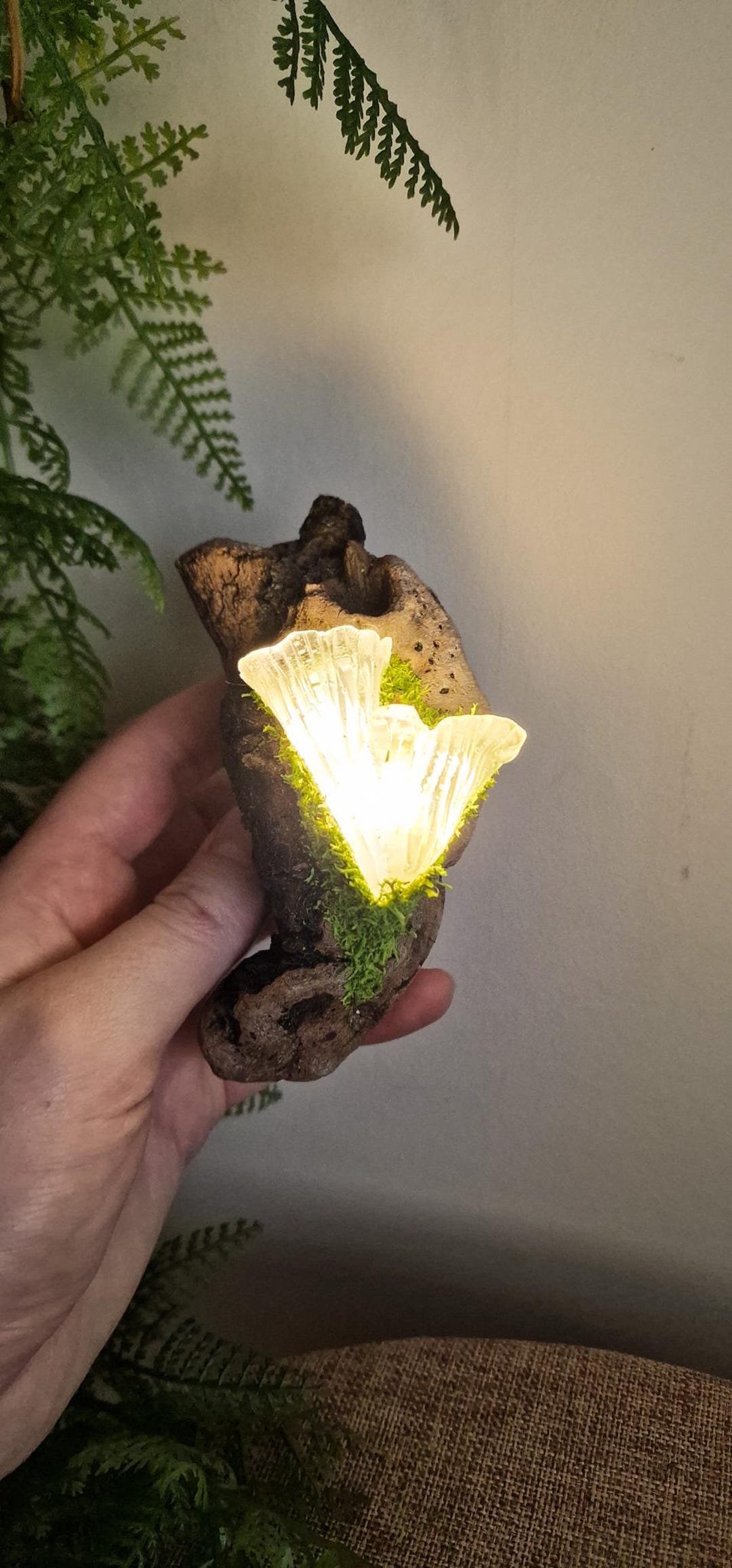 Driftwood Wall Display Fungi LED Light 48 battery Powered - Etsy