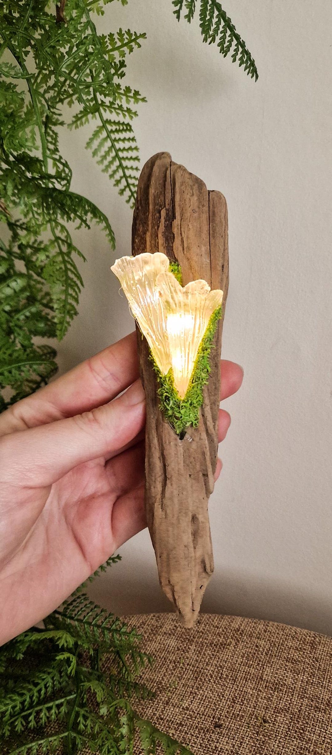 Driftwood Wall Display Fungi LED Light 44 battery Powered - Etsy