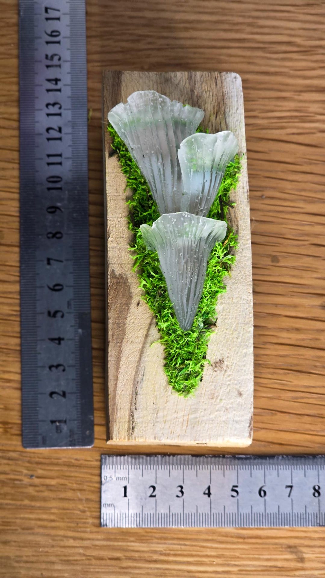 Driftwood Free Standing Fungi LED Light #150 - *battery Powered* - Etsy