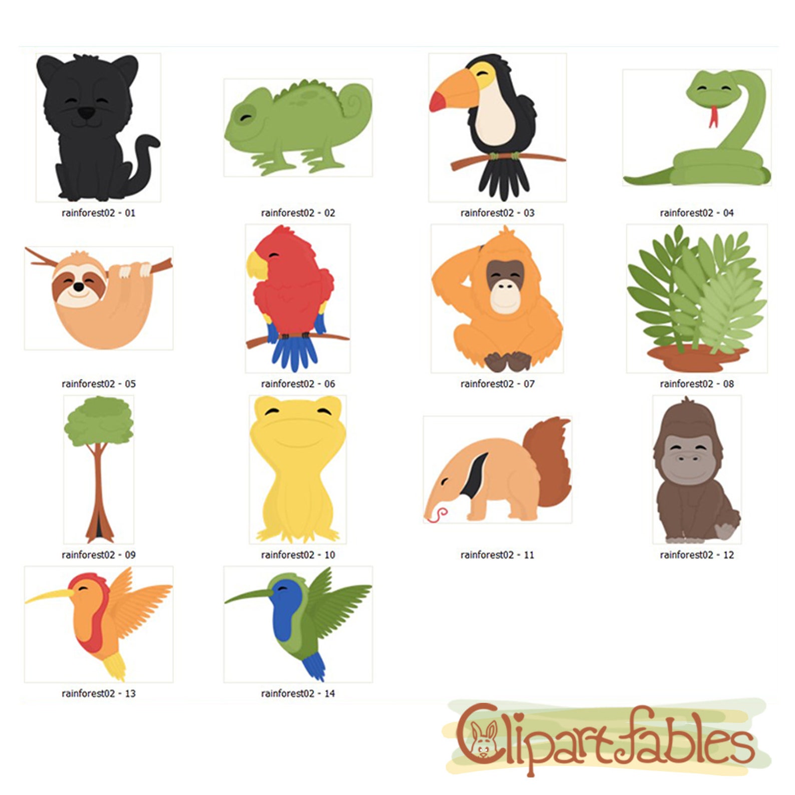 Cute RAINFOREST ANIMALS Clipart, Wild Animals Clip Art, Jungle ...