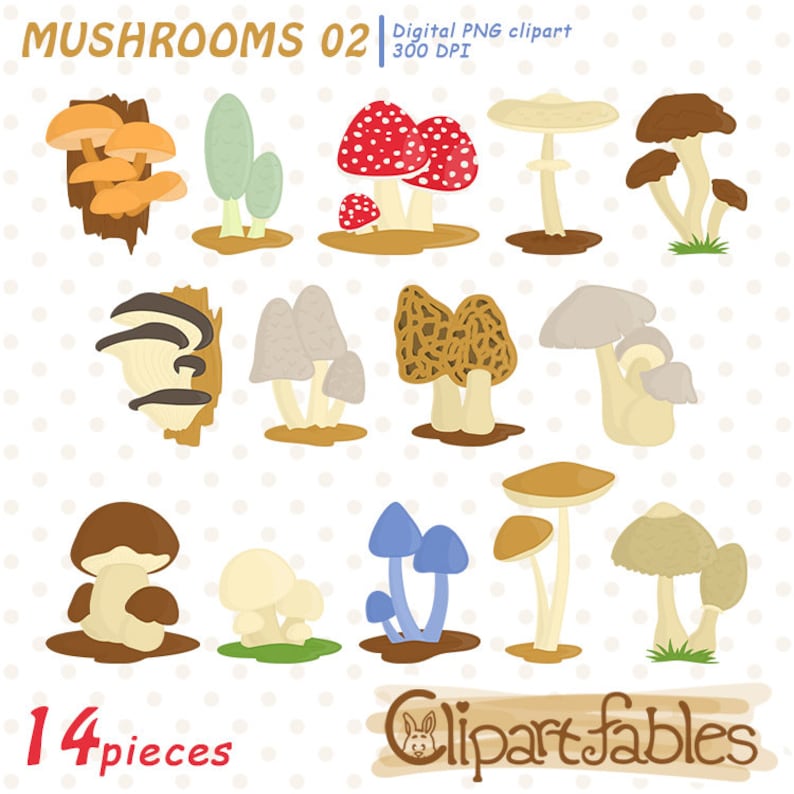 MUSHROOM Clipart, Fungi, Fungus Clip Art, Colorful Mushrooms INSTANT ...