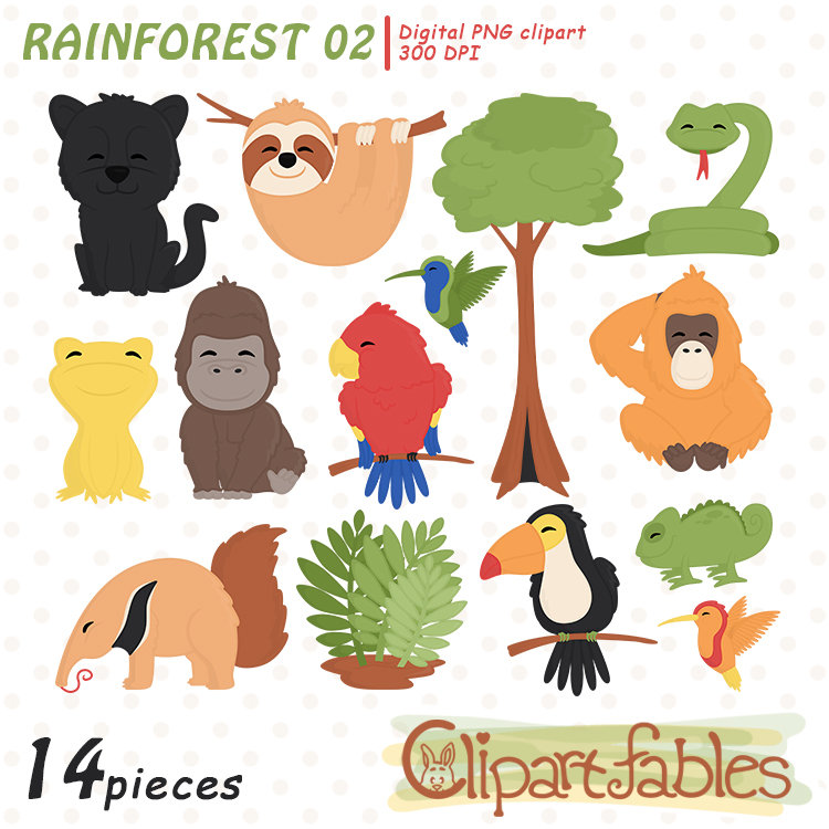 Rainforest Animals Clipart
