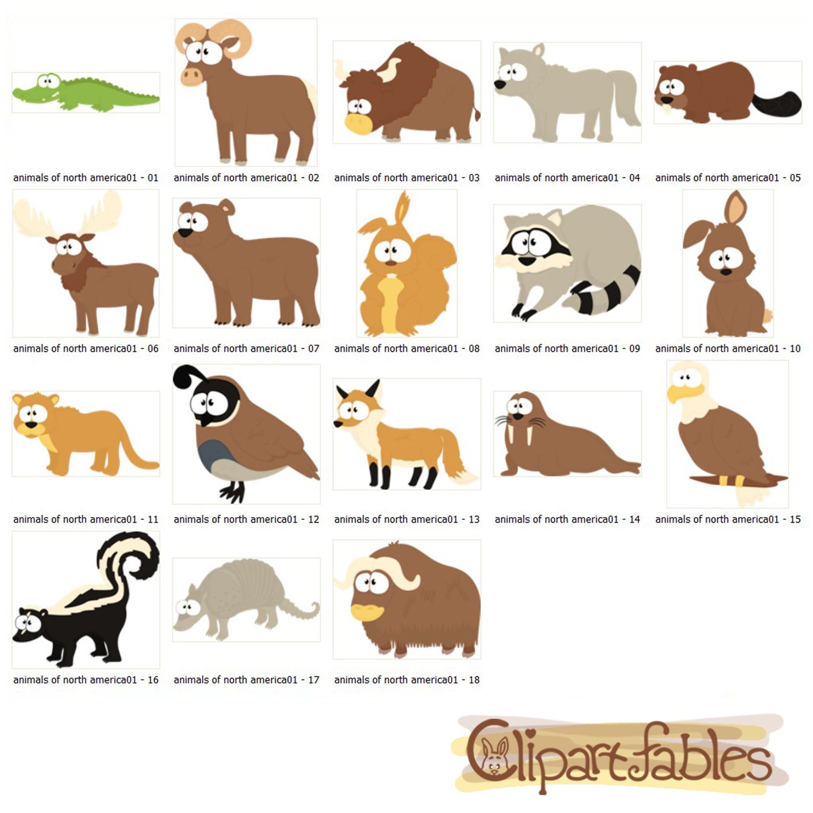 NORTH AMERICAN ANIMALS Clipart, Usa Wildlife, Woodland Clipart ...