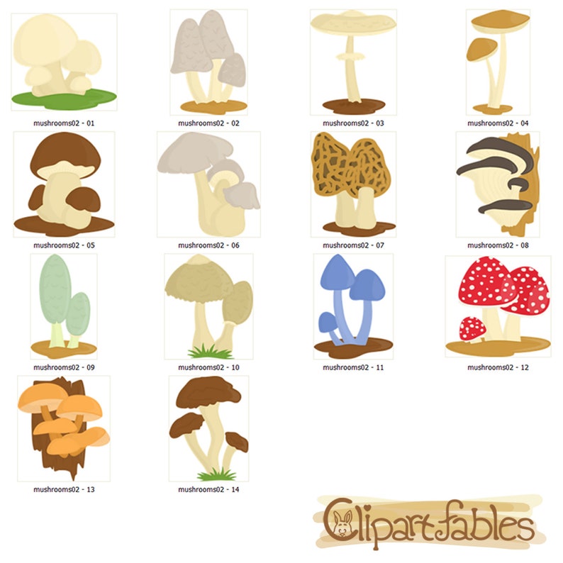 MUSHROOM Clipart, Fungi, Fungus Clip Art, Colorful Mushrooms INSTANT ...