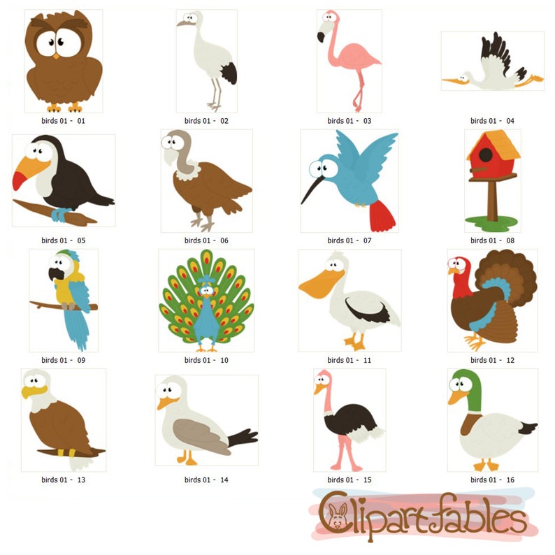 Cute BIRD Clipart, Tropical Bird Clip Art, INSTANT Download, Digital ...